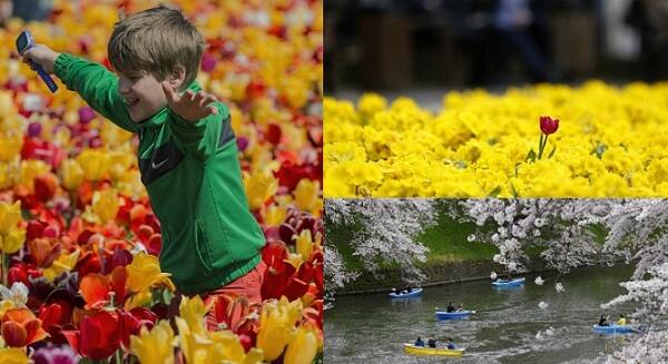 Daily Life Pictures: Top 10 Photos Of The Day