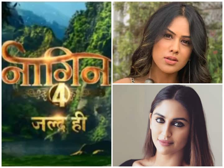 Naagin 4: Krystle D’souza & Nia Sharma To Reunite in Colors Show After ...