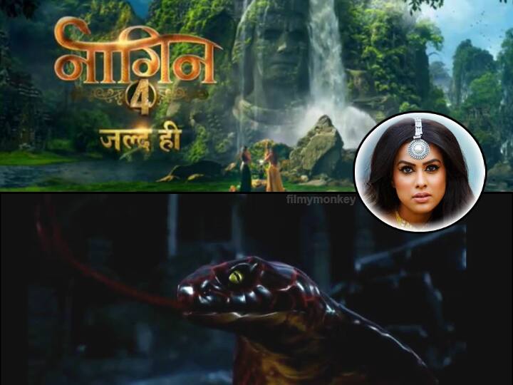\'Naagin 4: Bhagya Ka Zehreela Khel\' New Teaser OUT: Nia Sharma\'s ...