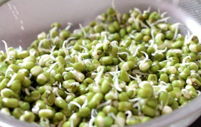 In Pics, Health Tips, benefits of Sprouts in your daily diet | Sprouts ...