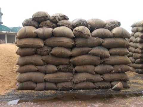 मध्य प्रदेश: मंडियों में 50 KG से ज्यादा वजन उठाने से मजदूरों ने किया ...