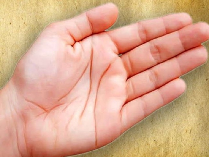 Hast Rekha Palmistry The Secret Of Your Health Is Hidden In The Palm Of ...
