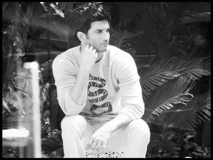 Sushant Singh Rajput Brother in law talk about nepometer app sadak 2 ...