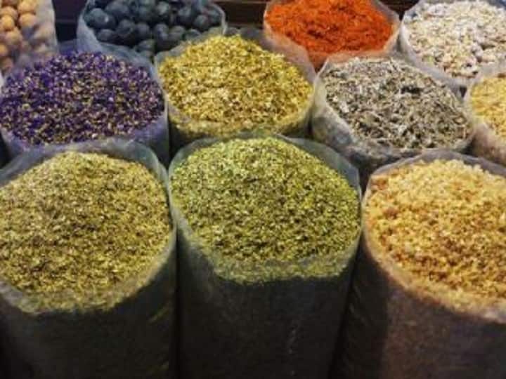 Hathras: Fake spice factory using acid, donkey dung unearthed | क्या आप ...