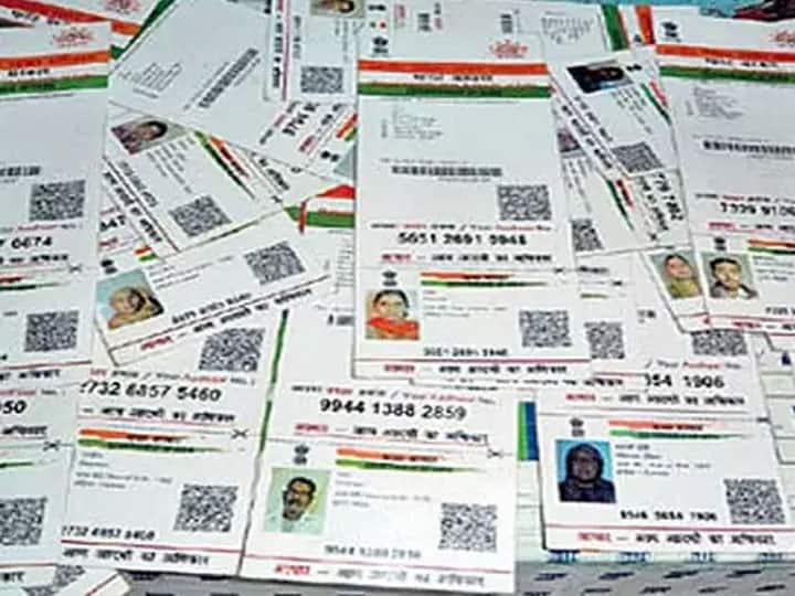 aadhaar cards found in garbage in bareilly uttar pradesh ann | बरेली ...