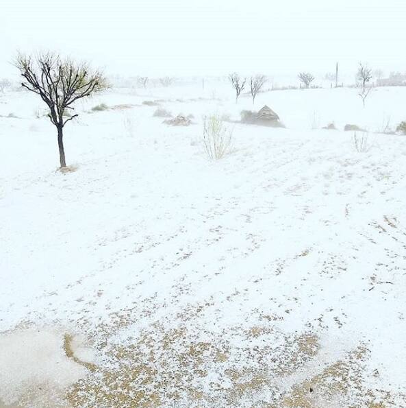 Snowfall in Rajasthan? Netizens share pictures of never-seen-before ...