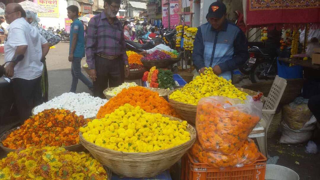 बीड, नाशिकमध्ये झेंडूची मातीमोल भावाने विक्री