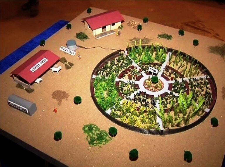 Government to build kitchen garden in Anganwadi area for eradication of ...