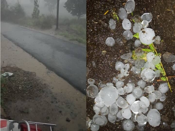 Uncertain Rainfall and hailstorm in Maharashtra | राज्यात अनेक ठिकाणी ...