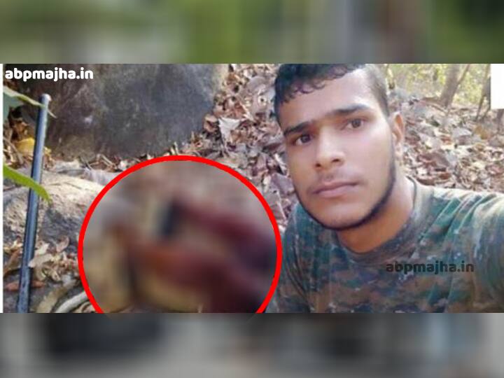 Maharashtra state animal shekaru hunted in kokan | Corona Lockdown ...