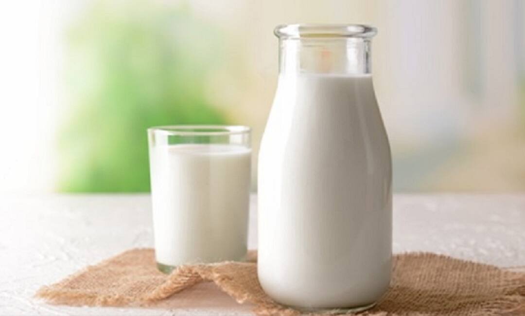 Gujarat\'s Halari donkey\'s milk sold for Rs. 7000 per liter | ગુજરાતની ...